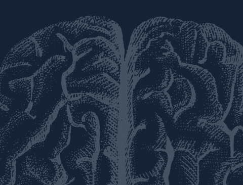 Prezi examples: The best videos, presentations, and designs | Prezi