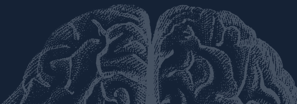 Prezi examples: The best videos, presentations, and designs | Prezi